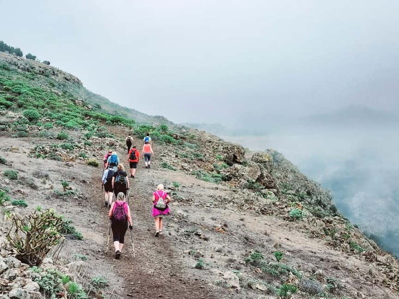 Teno Mountains Tenerife: Highlands Guided Hike & Garachico - Key Points