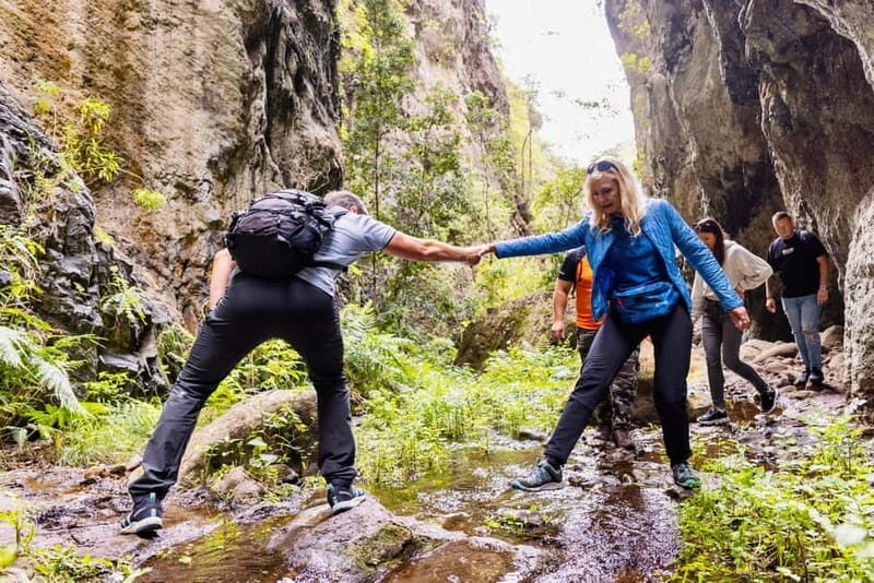 Teno Waterfalls and the Tropical Jungle of Tenerife - Exploring the Wild Side of Tenerife