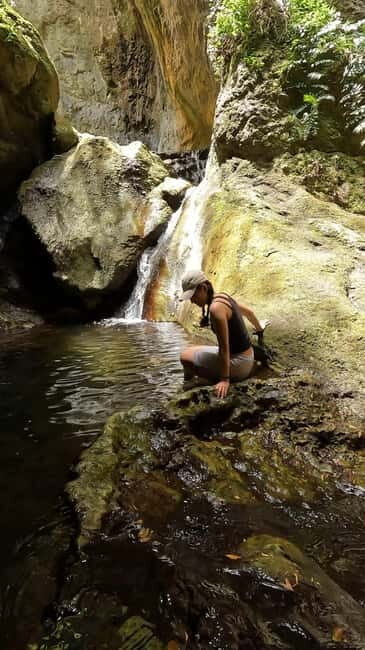 Teno Waterfalls and the Tropical Jungle of Tenerife - The Value of the Experience