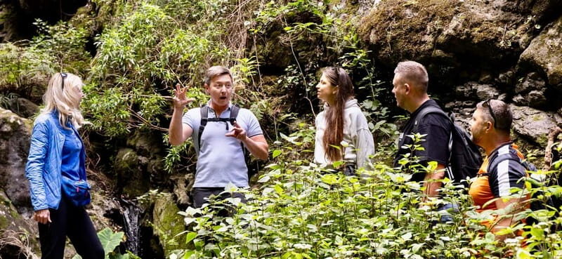 Teno Waterfalls and the Tropical Jungle of Tenerife - Practical Tips for Your Adventure