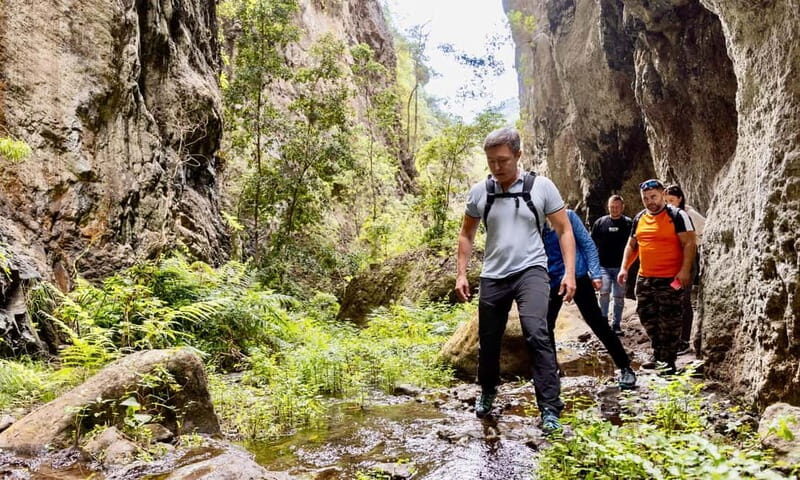 Teno Waterfalls and the Tropical Jungle of Tenerife - Final Thoughts