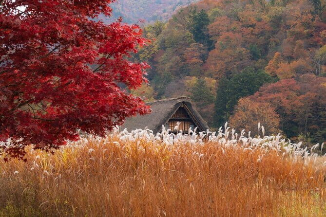 Tenugui Dyeing Experience Tour from Nagoya with English Guide - Deep Dive into the Itinerary