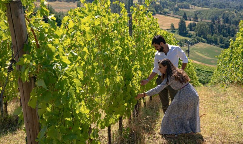 Tenuta Bonzara - Tour and wine tasting in the hills of Bologna - A Deep Dive Into the Experience