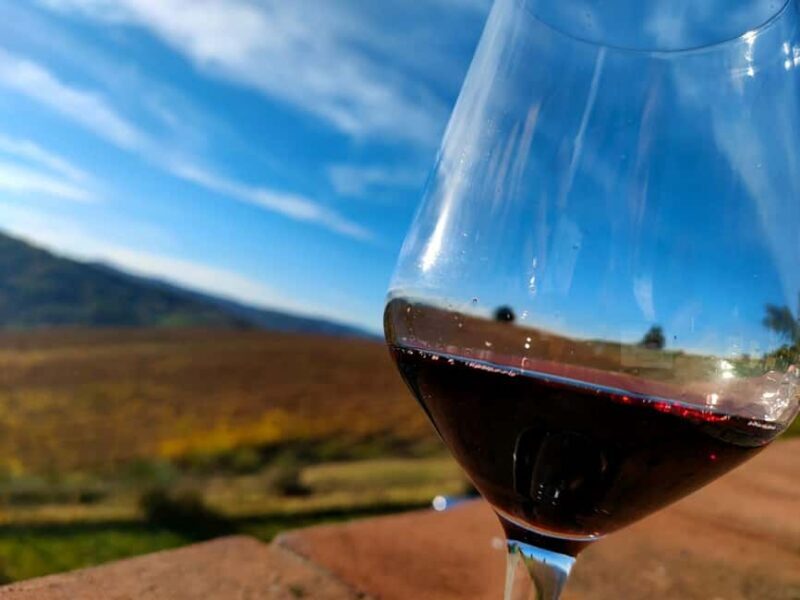 Tenuta Bonzara - Tour and wine tasting in the hills of Bologna - Who Should Consider This Tour?