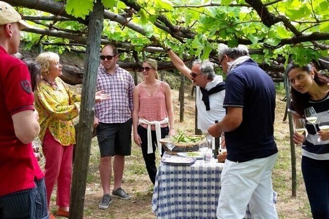 Tenuta San Francesco Wine Tasting - The Sum Up: Who Will Love This Tour?