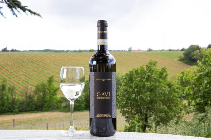 Tenuta San Lorenzo: Wine & Food Tasting Experience - Introduction: What Sets Tenuta San Lorenzo Apart