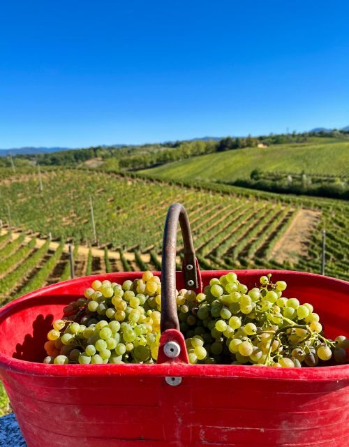 Tenuta San Lorenzo: wine tasting and winery tour - Frequently Asked Questions