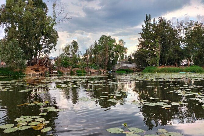 Teotihuacan and Acolman Monastery Private Tour - Who Should Book This Tour?