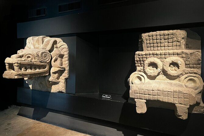 Teotihuacan magical private tour, with pulque tasting - Transport and Logistics