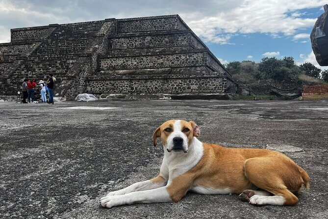 Teotihuacan magical private tour, with pulque tasting - Final Thoughts