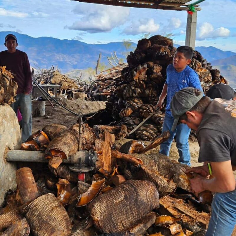 Teotitlán, Tlacochahuaya & Mezcal Experience - A Closer Look at the Itinerary and What to Expect