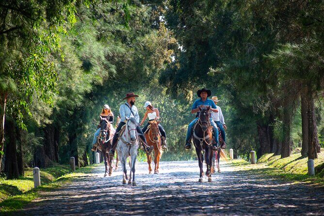 Tequila Agave & Rural Horseback Adventure in El Arenal - FAQ