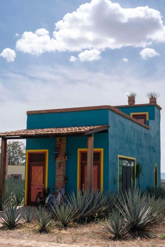 Tequila and food tour in Altos de Jalisco along the road of love - Cost-Effectiveness and Value