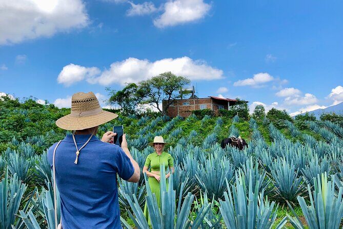 Tequila and Guachimontones Full Day Private Tour - A Well-Designed Itinerary for Authentic Mexico