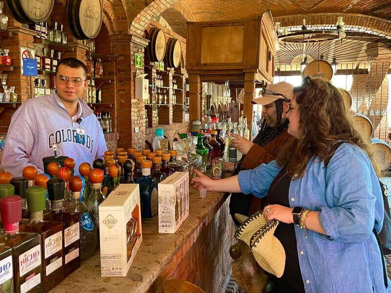Tequila and Guachimontones: Private Full Day Tour - Practical Details and Value
