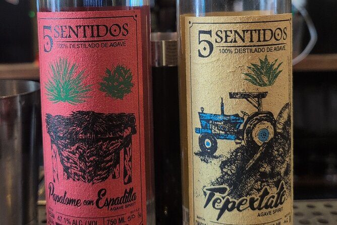 Tequila and Mezcal Tasting in DC - Setting the Scene: What to Expect