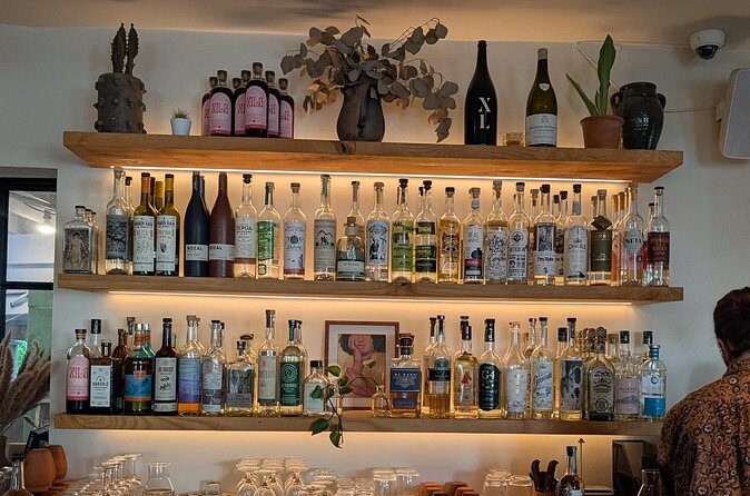 Tequila and Mezcal Tasting in DC - Who Should Consider This Tour?