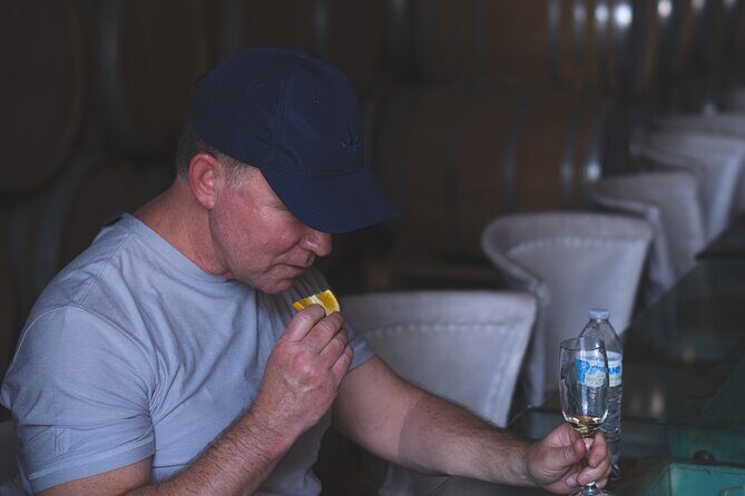 Tequila Day Trip - Deep Dive: Why This Tour Offers Excellent Value