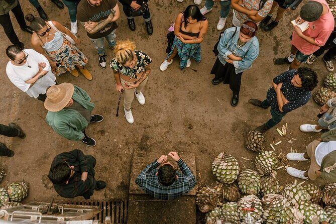 Tequila Distilleries Admission Tickets & Tastings - What Travelers Can Expect: A Balanced View