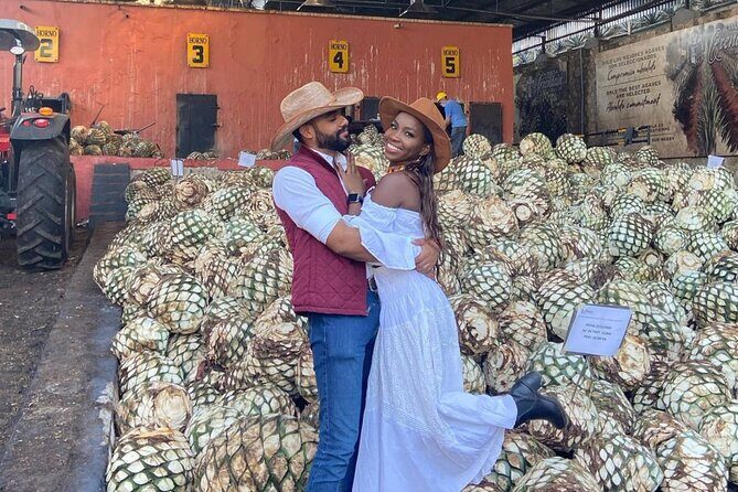 Tequila Distilleries Admission Tickets & Tastings - The Sum Up