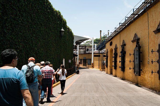 Tequila distillery experience, Jose Cuervo & Tequila Magic Town - Who Would Love This Tour?