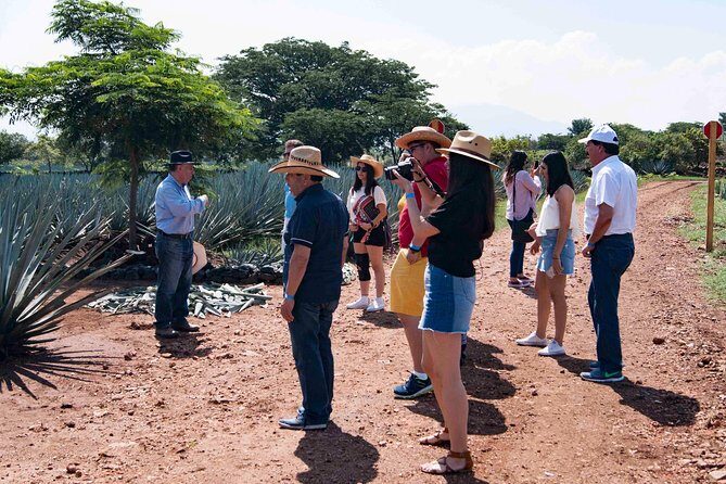 Tequila distillery experience, Jose Cuervo & Tequila Magic Town - FAQ