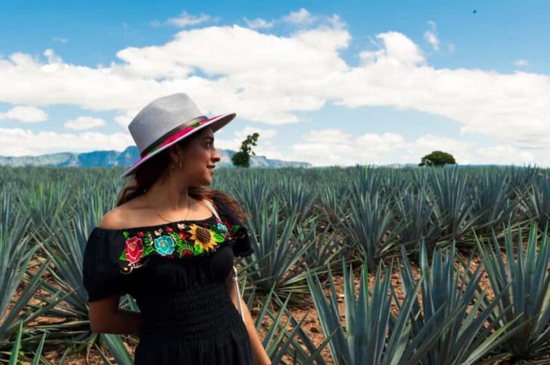Tequila Full-Day Discovery Private Tour of Amatitan - A Deep Dive into the Experience