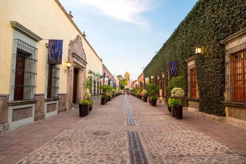 Tequila Full-Day Discovery Private Tour of Amatitan - What Travelers Say