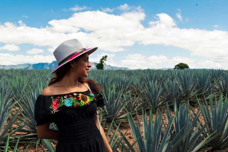 Tequila Full-Day Discovery Tour of Amatitan - FAQs