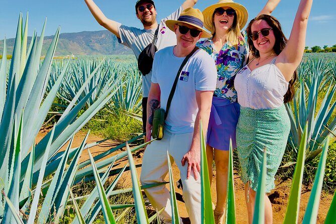Tequila/Guachimontones Tour-cultural heritage route - The Experience in Detail
