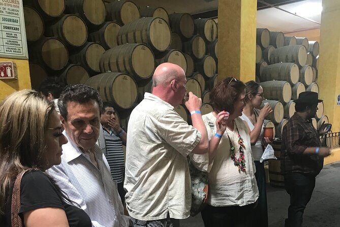 Tequila Jalisco Full Day Tour from Puerto Vallarta - Who Should Consider This Tour?