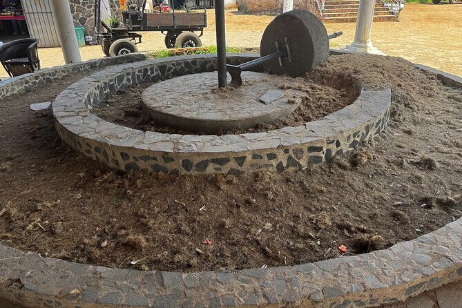 Tequila Jalisco Tour - The Spectacle of Paraiso Azul and the Agave Fields