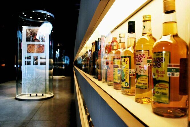 Tequila & Mezcal Exclusive Tour - Introduction: An Authentic Spirit Experience in Mexico City