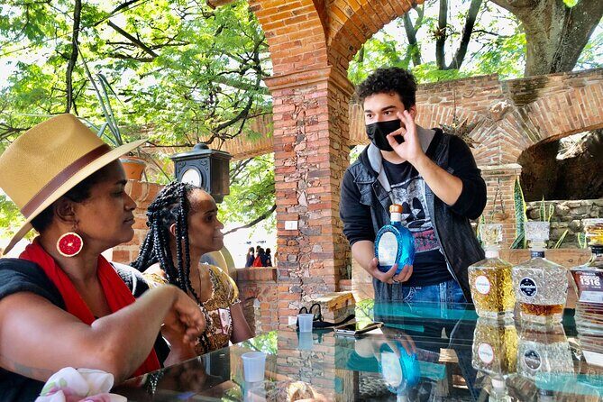 Tequila: Private Half-Day Tour - Why This Tour Is Worth Considering