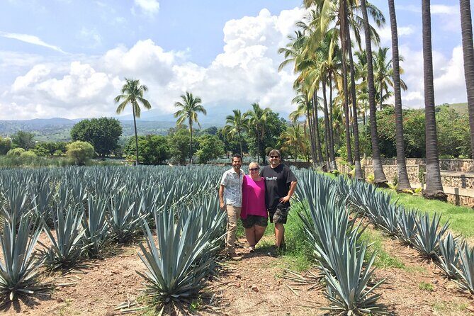 Tequila: Private Half-Day Tour - Practical Details and Tips