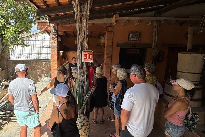 Tequila Tasting Tour in Nuevo Vallarta - Key Points
