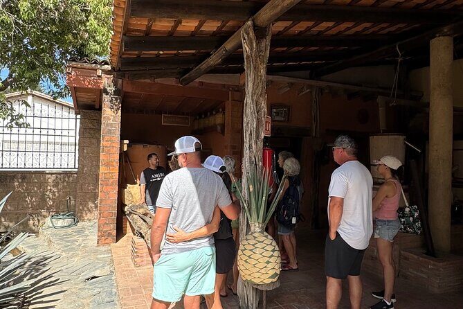 Tequila Tasting Tour in Nuevo Vallarta - Who Should Consider This Tour?