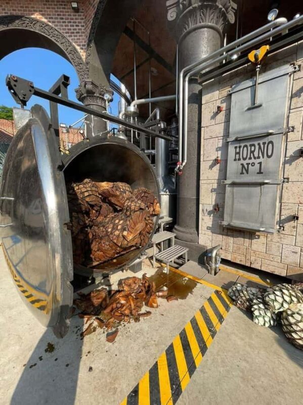 Tequila Tour from Guadalajara: Barrel Ride in Tequila - Authenticity & Value