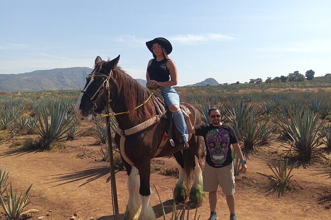 Tequila Xtremo Tour Experience - Who Should Consider This Tour?