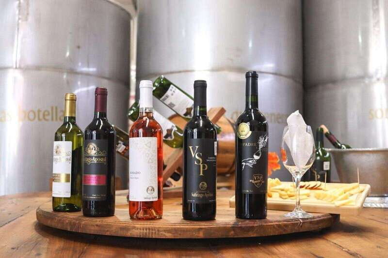 Tequisquiapan: UTV Adventure with Winery and Cheese Tasting - Key Points