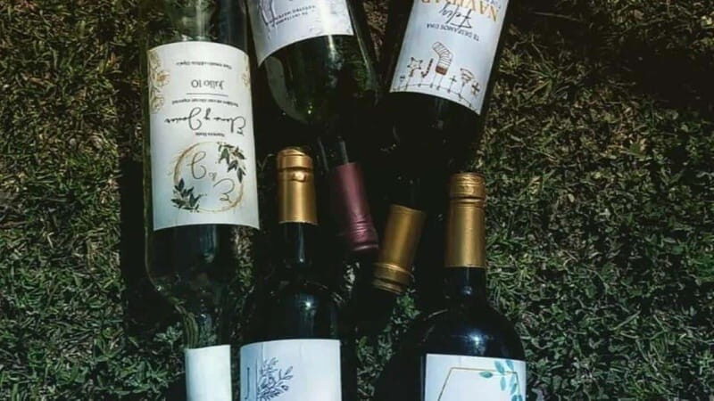 Tequisquiapan: UTV Adventure with Winery and Cheese Tasting - Why This Tour Offers Great Value
