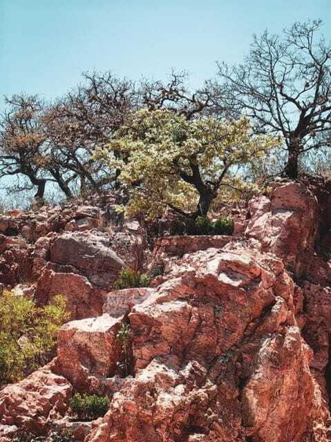 Tequisquiapan: UTV Tour to Opal Mine with Art Workshop - Authenticity and Overall Value