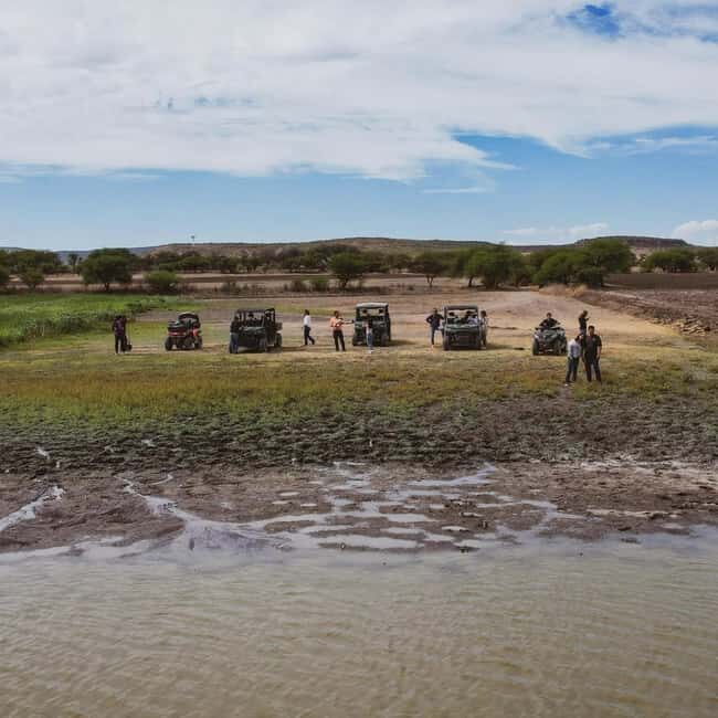 Tequisquiapan: UTV Tour with Wine Tasting and Cheese Pairing - An In-Depth Look at the UTV Adventure Experience