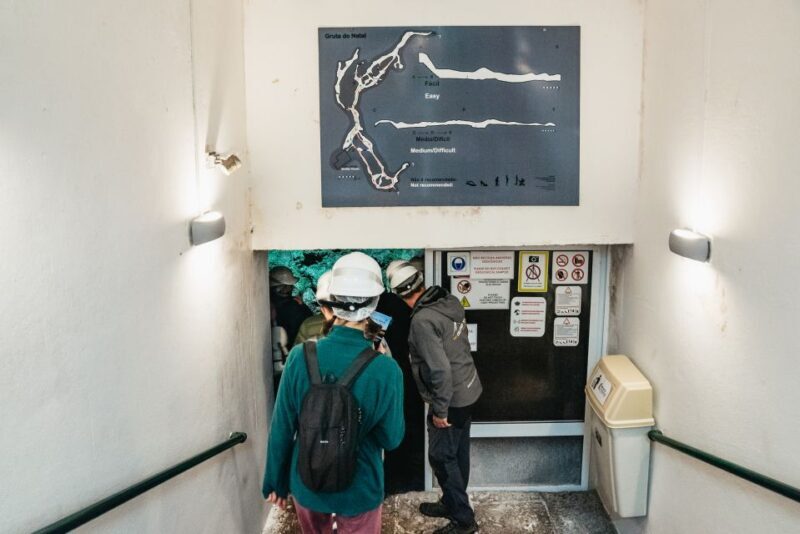 Terceira: Algar do Carvão Lava Caves Tour - Logistics, Cost, and Practical Tips