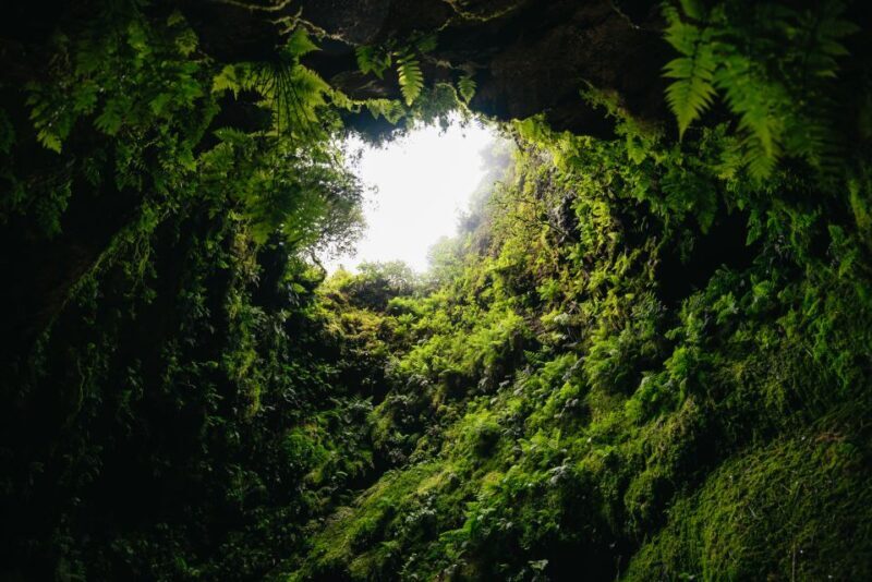 Terceira: Algar do Carvão Lava Caves Tour - Authentic, Educational, and Adventurous