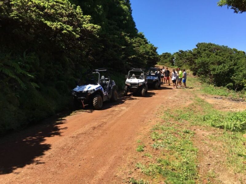Terceira: Buggy Tour 4x4 West Side Azores Retreat - FAQs