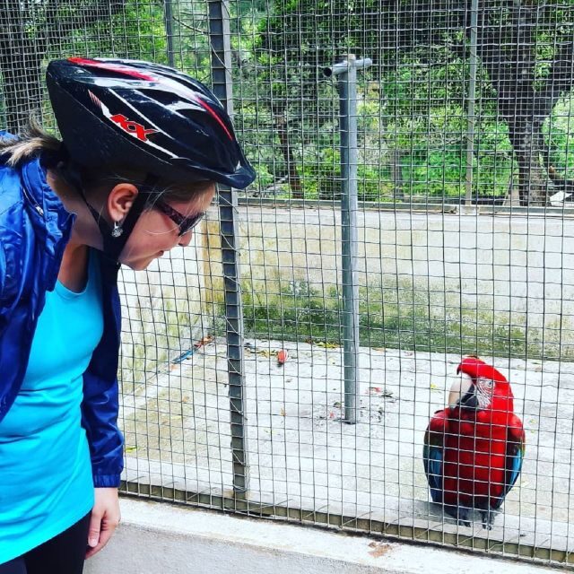 Terceira Island : Electric Bike Tour Monte Brasil - Why You’ll Love the Electric Bike Tour of Monte Brasil