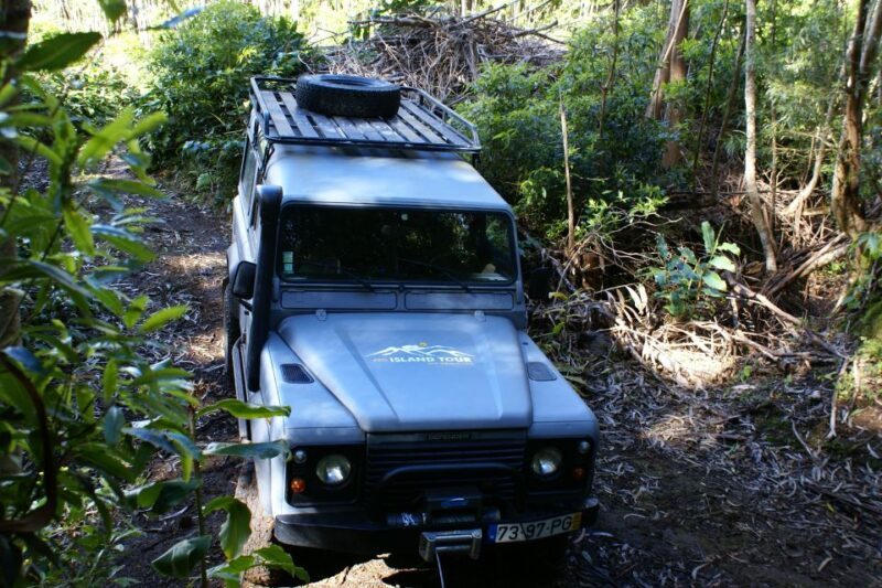 Terceira Island: Full-Day Mud Adventure & Traditional Lunch - Transport, Timing, and Group Dynamics