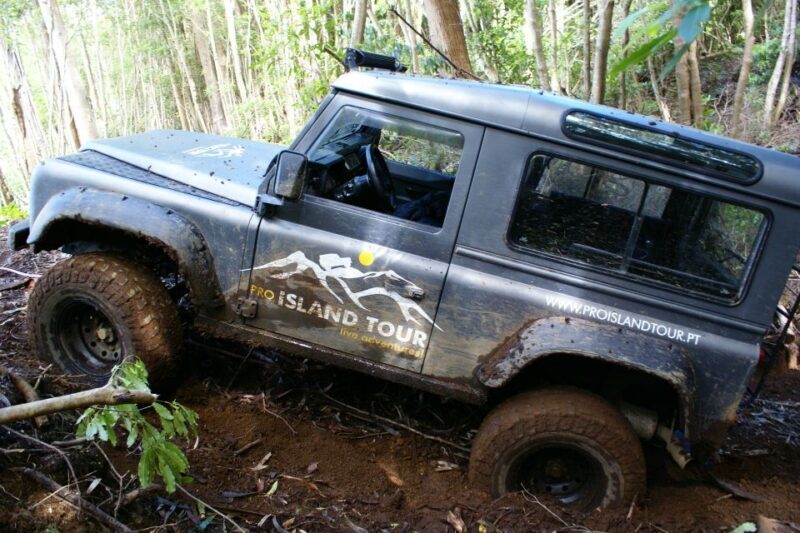 Terceira Island: Full-Day Mud Adventure & Traditional Lunch - Summary: Who Will Love This Tour?