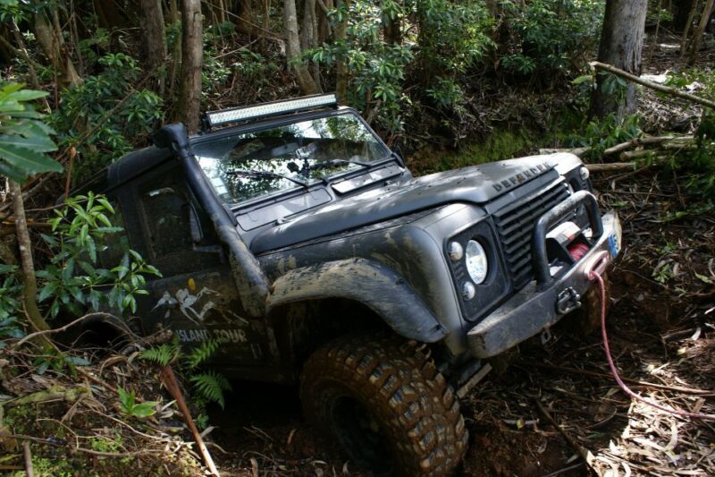 Terceira Island: Full-Day Mud Adventure & Traditional Lunch - FAQ About the Terceira Full-Day Mud Adventure